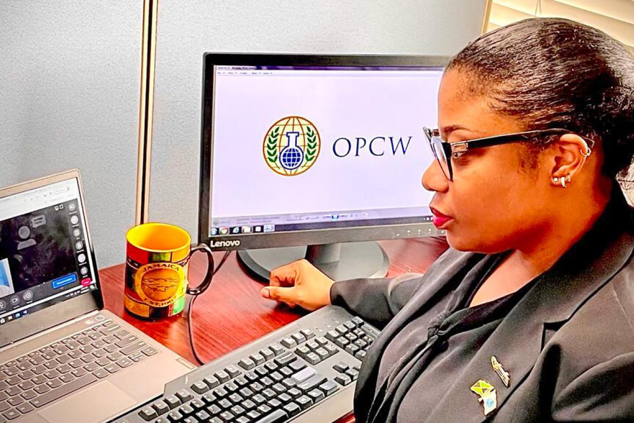 National Authorities from Latin America and the Caribbean focus on ...