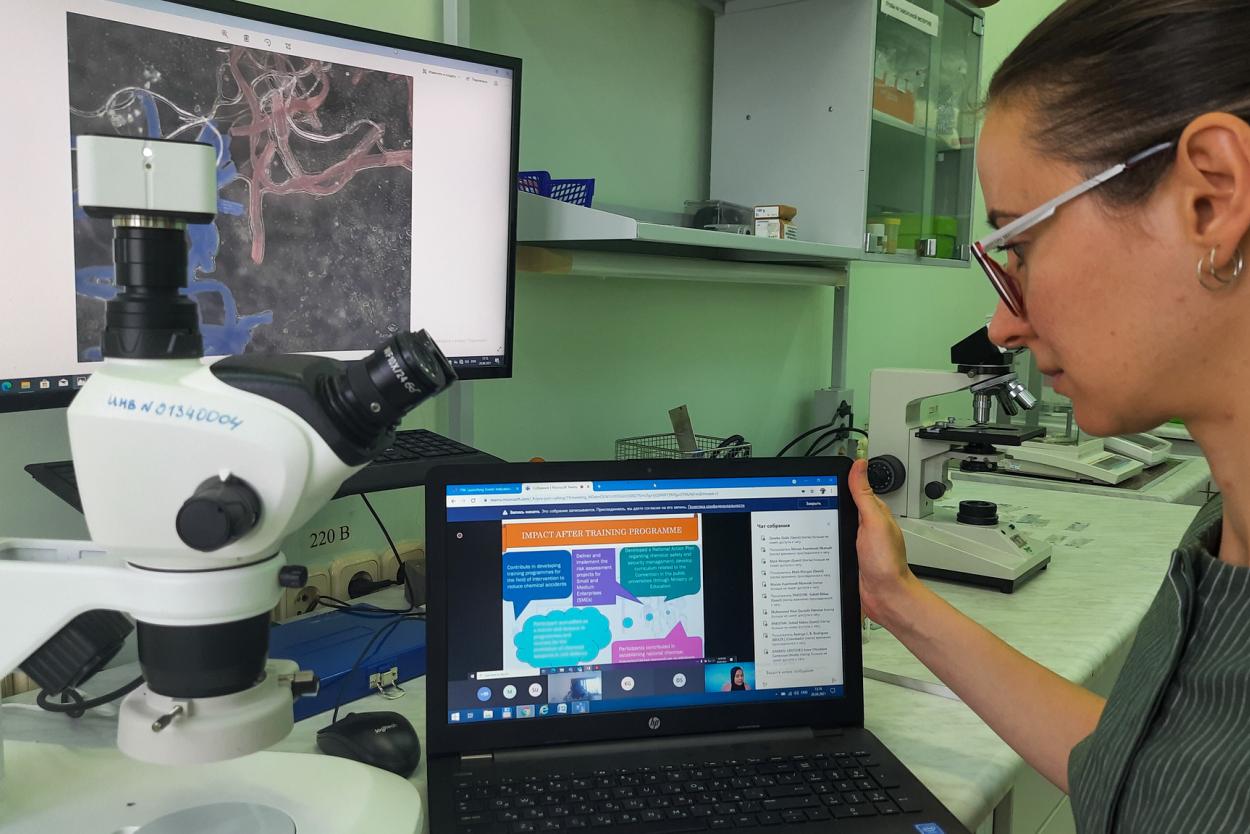 OPCW launches chemical safety and security management guidelines | OPCW