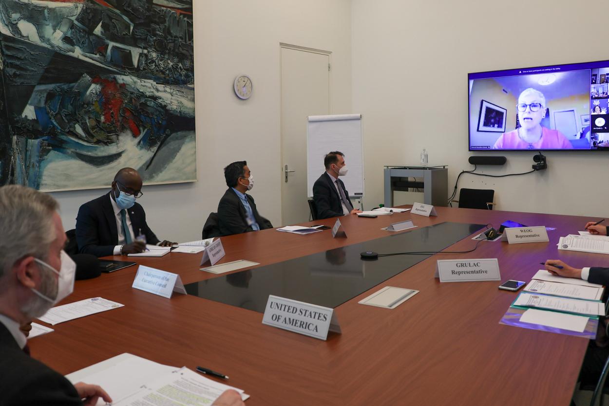 OPCW Executive Council briefed on chemical weapons destruction progress ...