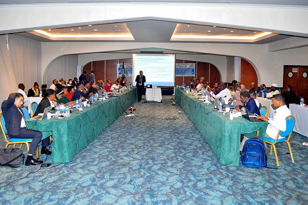 OPCW assists African Member States to uphold the Convention | OPCW