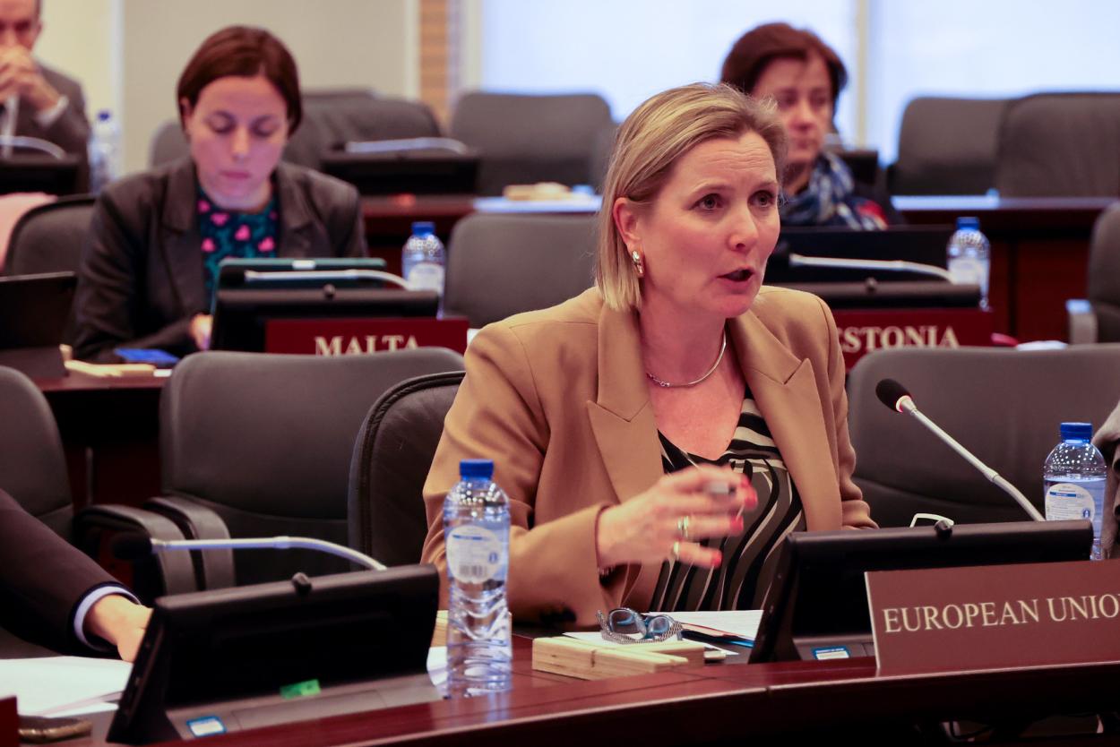 OPCW Director-General briefs EU Political and Security Committee ...