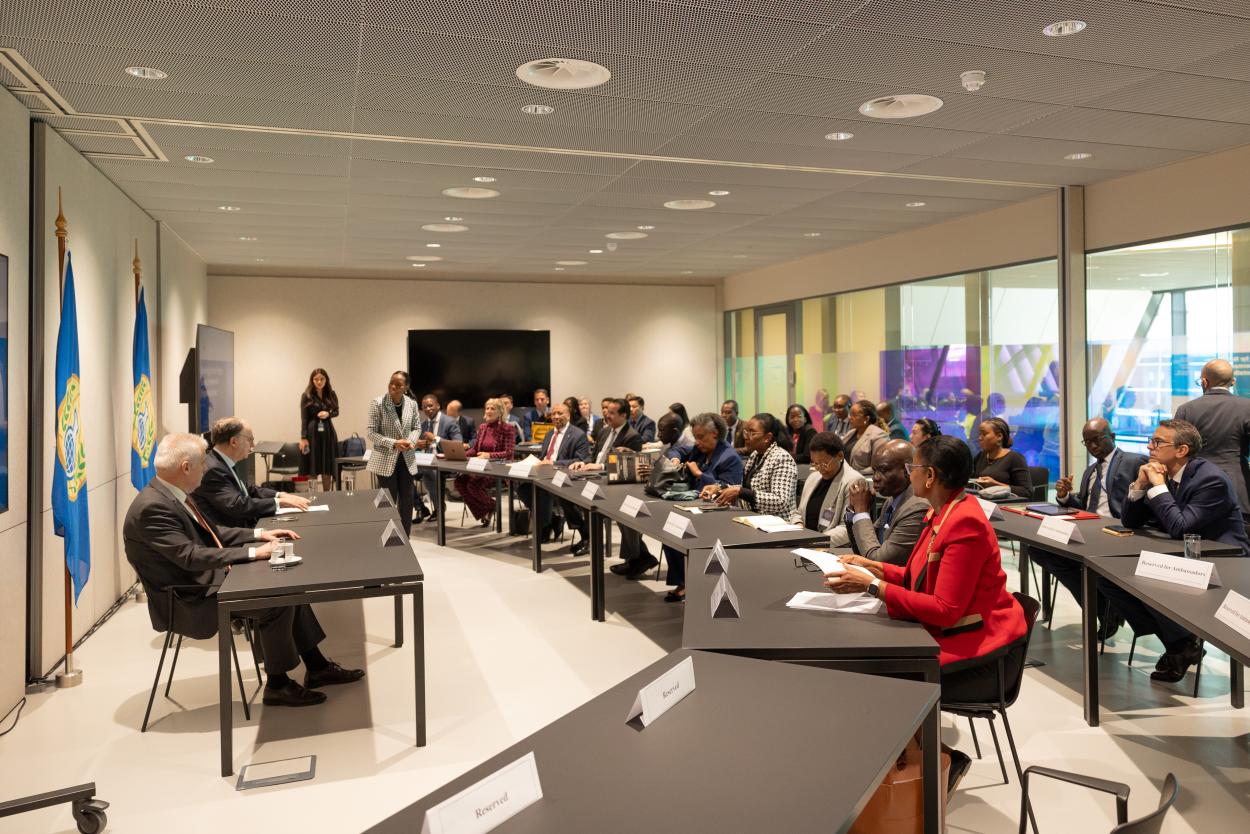 OPCW Technical Secretariat briefs permanent representatives based ...