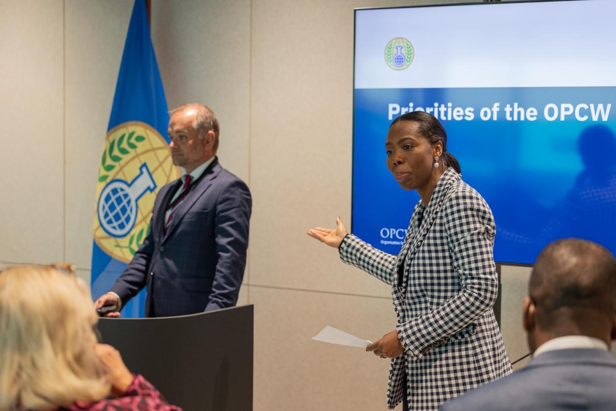 OPCW Technical Secretariat briefs permanent representatives based ...