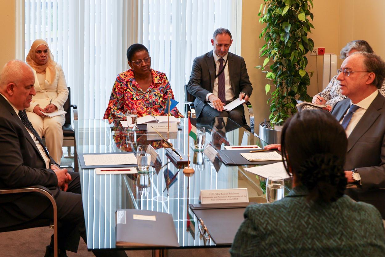 OPCW Director-General meets Minister of Interior of the State of ...