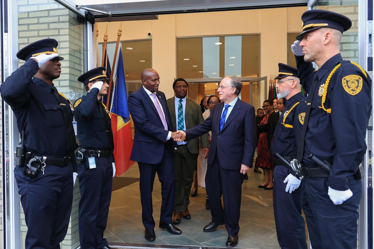 OPCW Director-General receives Prime Minister of Eswatini | OPCW