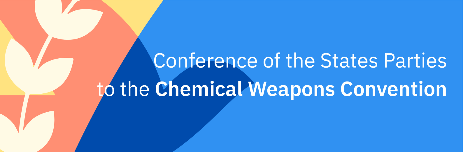 Organisation for the Prohibition of Chemical Weapons