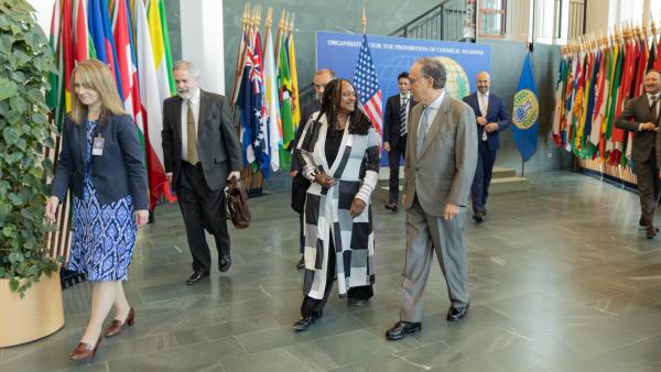 Organisation for the Prohibition of Chemical Weapons