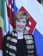 Summary of the Fifty-Third Session of the Executive Council | OPCW