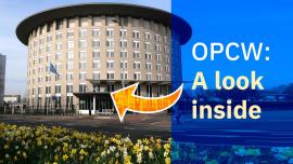 OPCW Basics | OPCW