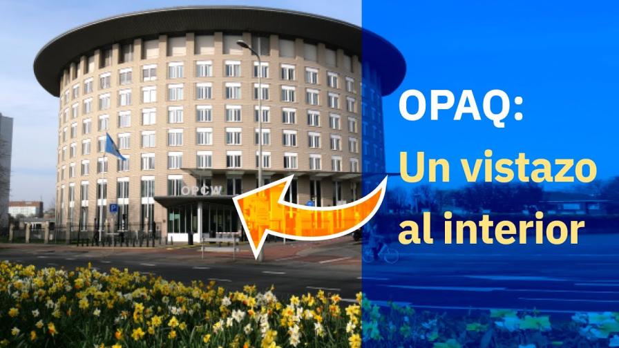 OPAQ: Básicos | OPAQ